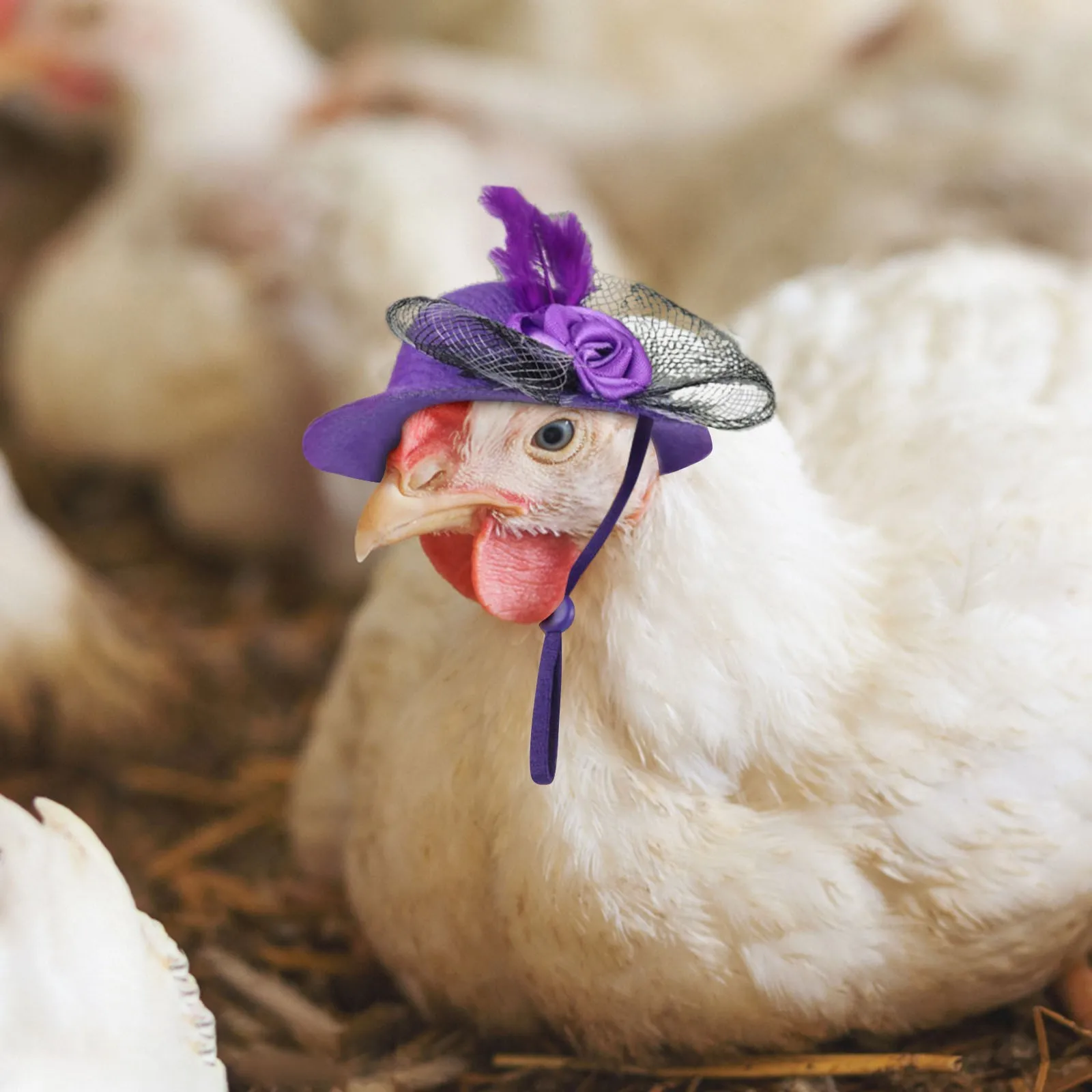 Chicken-Hats-for-Hen-Small-Pets-Funny-Chicken-Accessories-Feather-Top ...