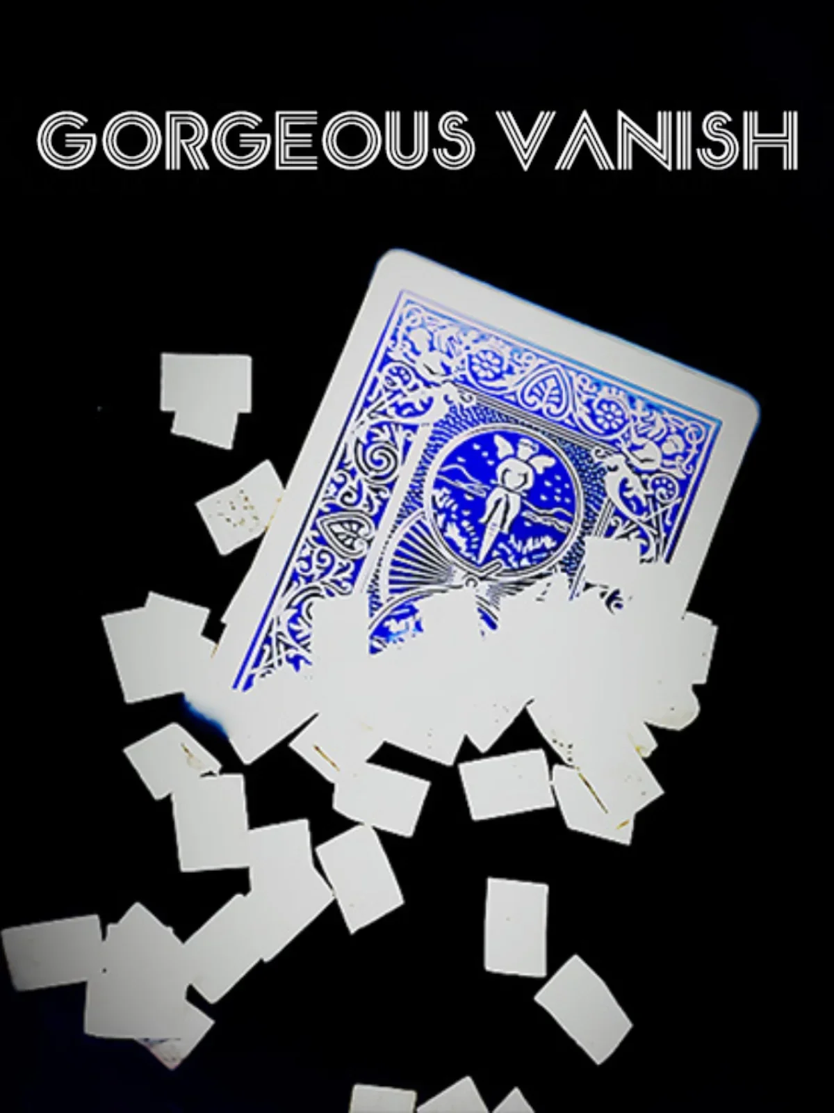 Gorgeous-Vanish-by-China-Magic-Magic-tricks.jpg