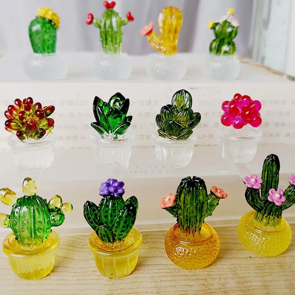 Cartoon Cactus Bonsai Decor Transparent Fleshy Realistic Mini Cactus ...