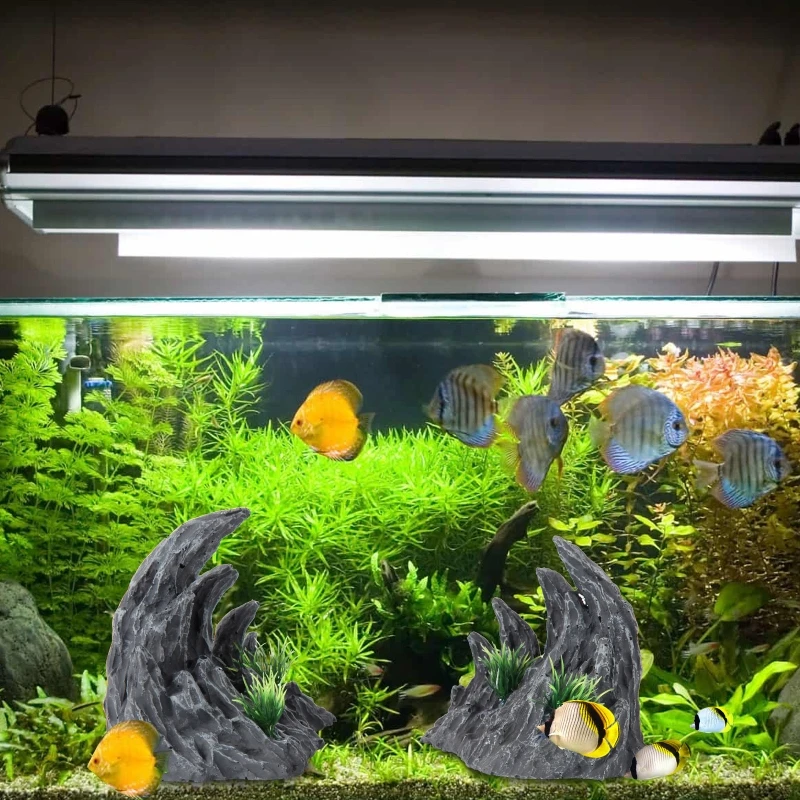Fish Tank Decoration Themes