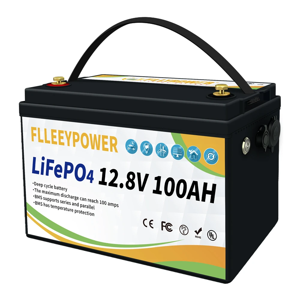 FLLEEYPOWER-12V-100Ah-LiFePO4-Battery-Deep-Cycles-with-BMS-for-Trolling ...