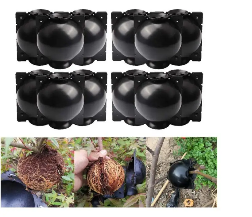 5pcs-set-4-Colors-Available-Tree-Root-Growing-Box-Rooting-Ball-Grafting ...