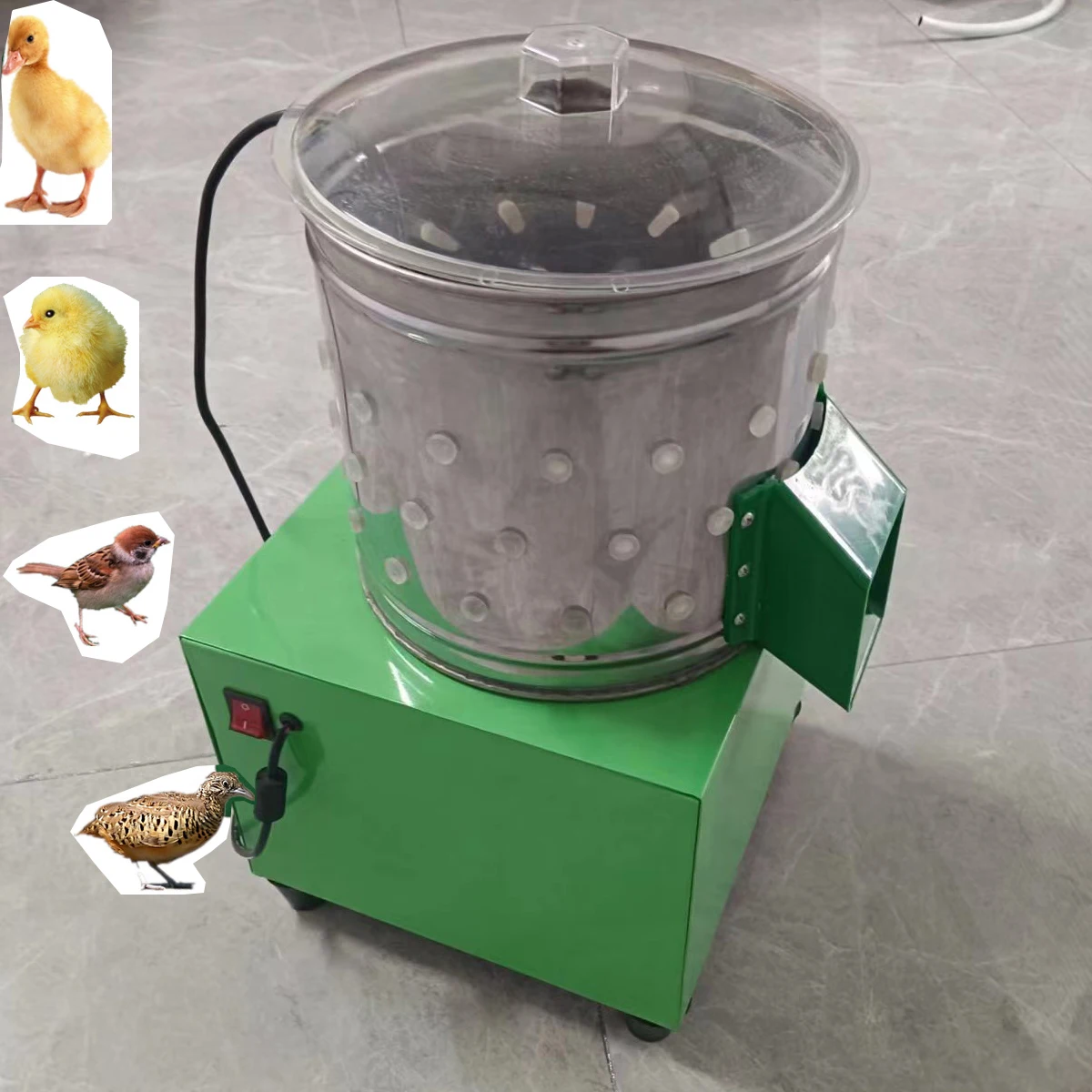 Store Home Products Feedback