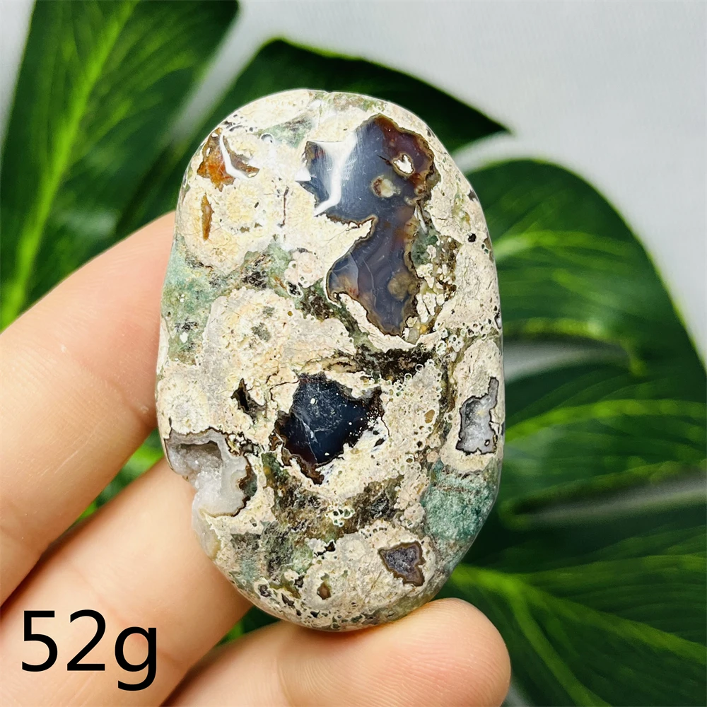 Australian Natural Opal Agate Stone Palmstone Raw Mineral Specimens ...