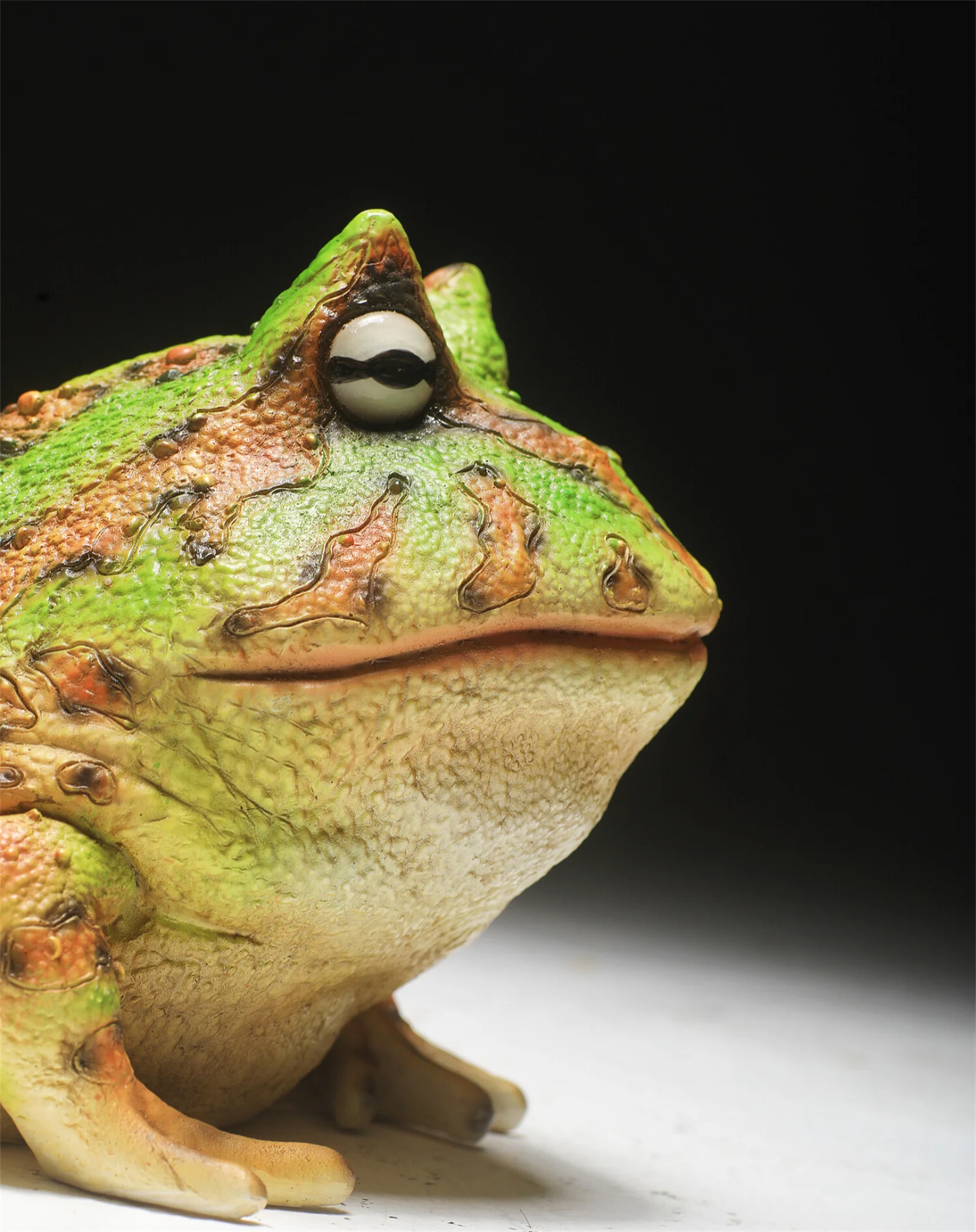 Brazilian Horned Frog