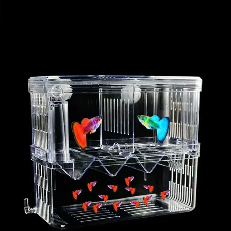 Caja-de-aislamiento-para-cr-a-de-peces-divisor-acr-lico-para-criadero ...