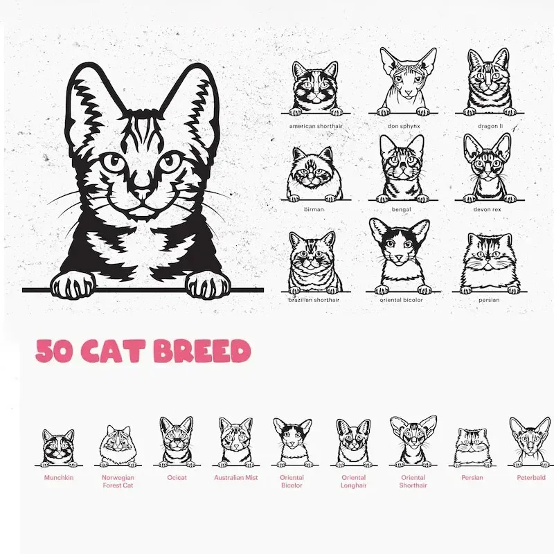 50 Cat Peeking SVG Vector Designs for Laser Cut Glowforge Cricut ...