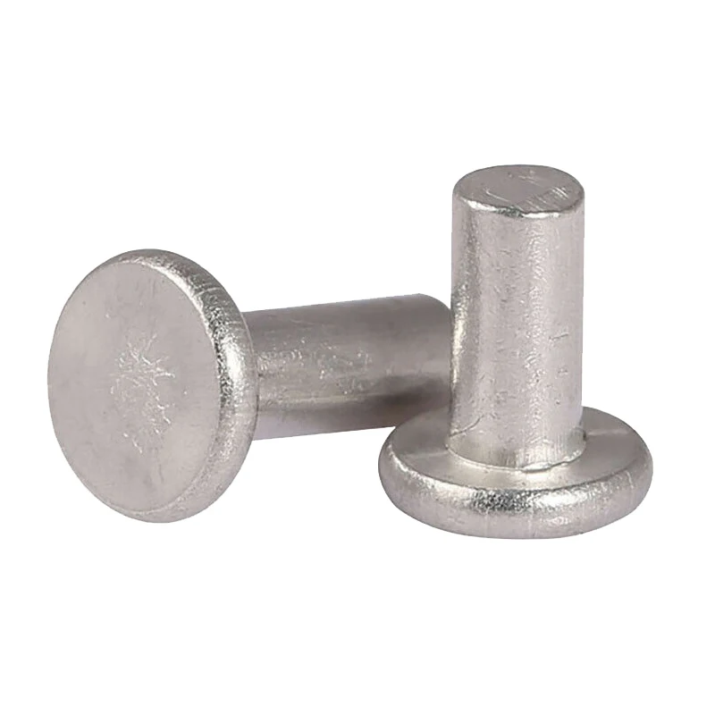 Rivets-Solides-en-Acier-Inoxydable-304-T-te-Plate-GB109-M2-M2-5-M3-M5 ...