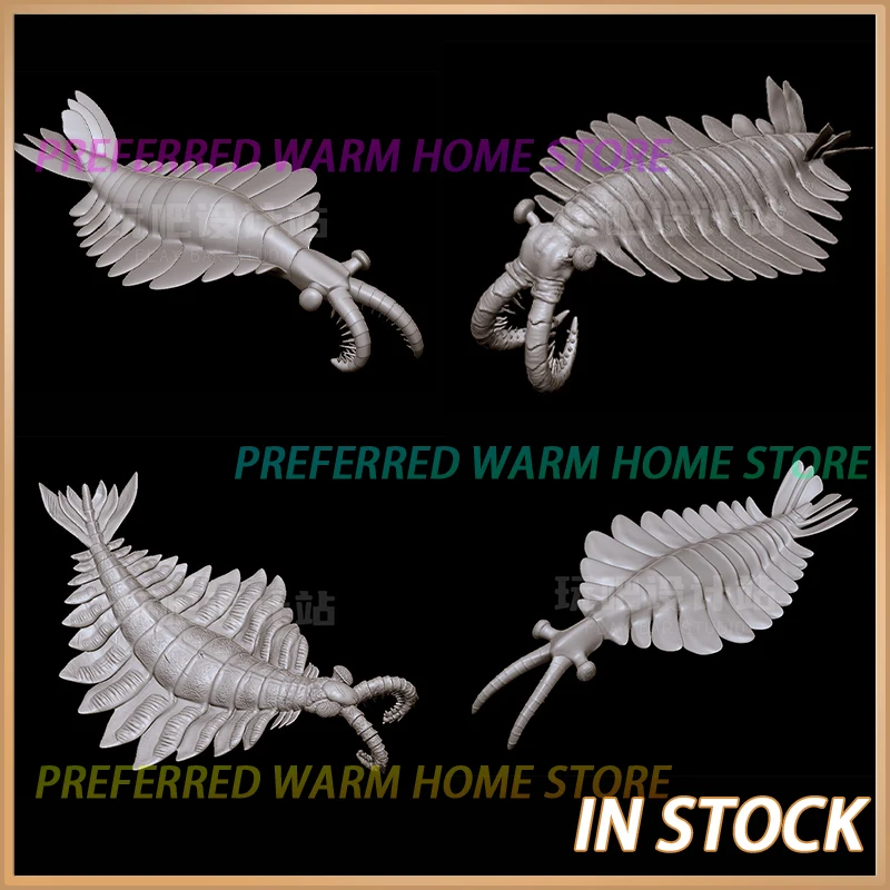 1/35 6-10CM Anomalocaridids Anomalocaris saron Model Toys Ancient ...