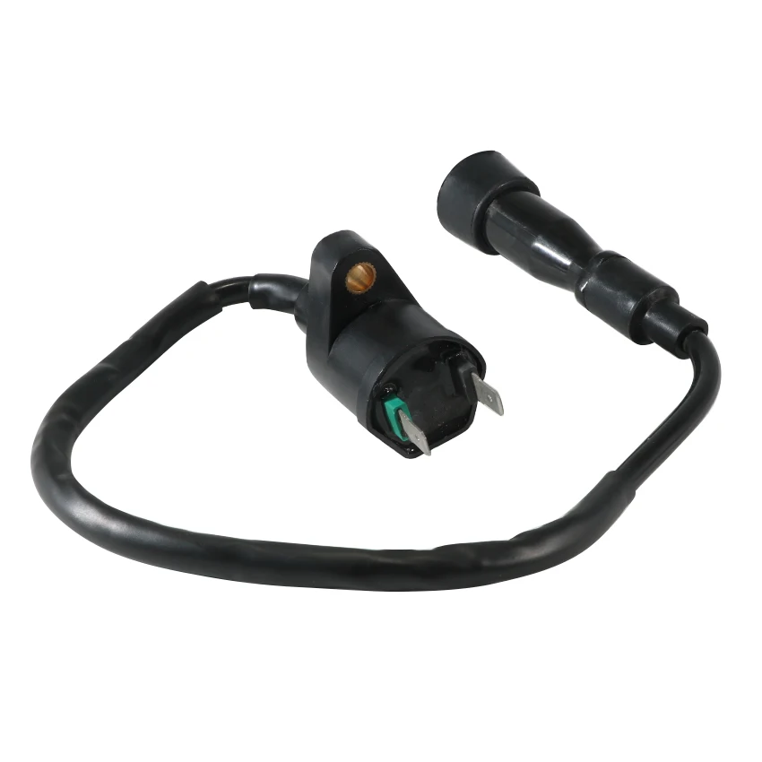 Motorcycle Ignition Coil For Adly ATV 300 Crossover Sentinel Boost Mini ...