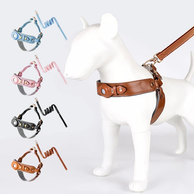 Designer Dog Harness