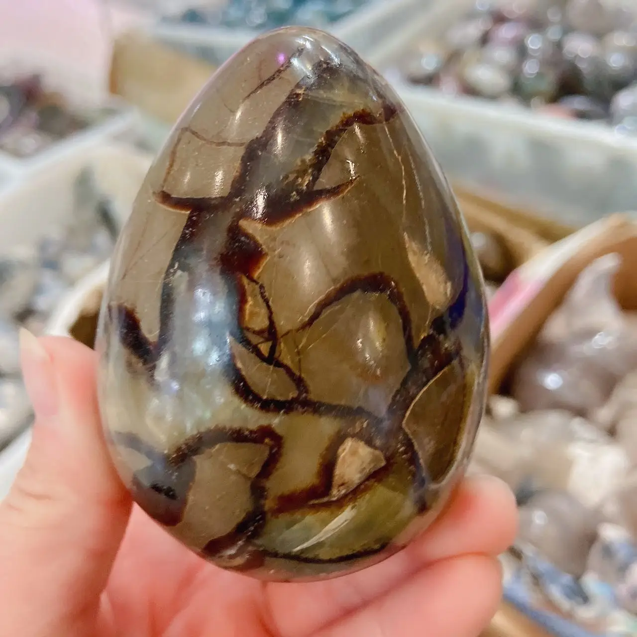 1kg-Natural-Turtle-Back-Stones-Dragon-Eggs-Crystals-and-Stones-Healing ...