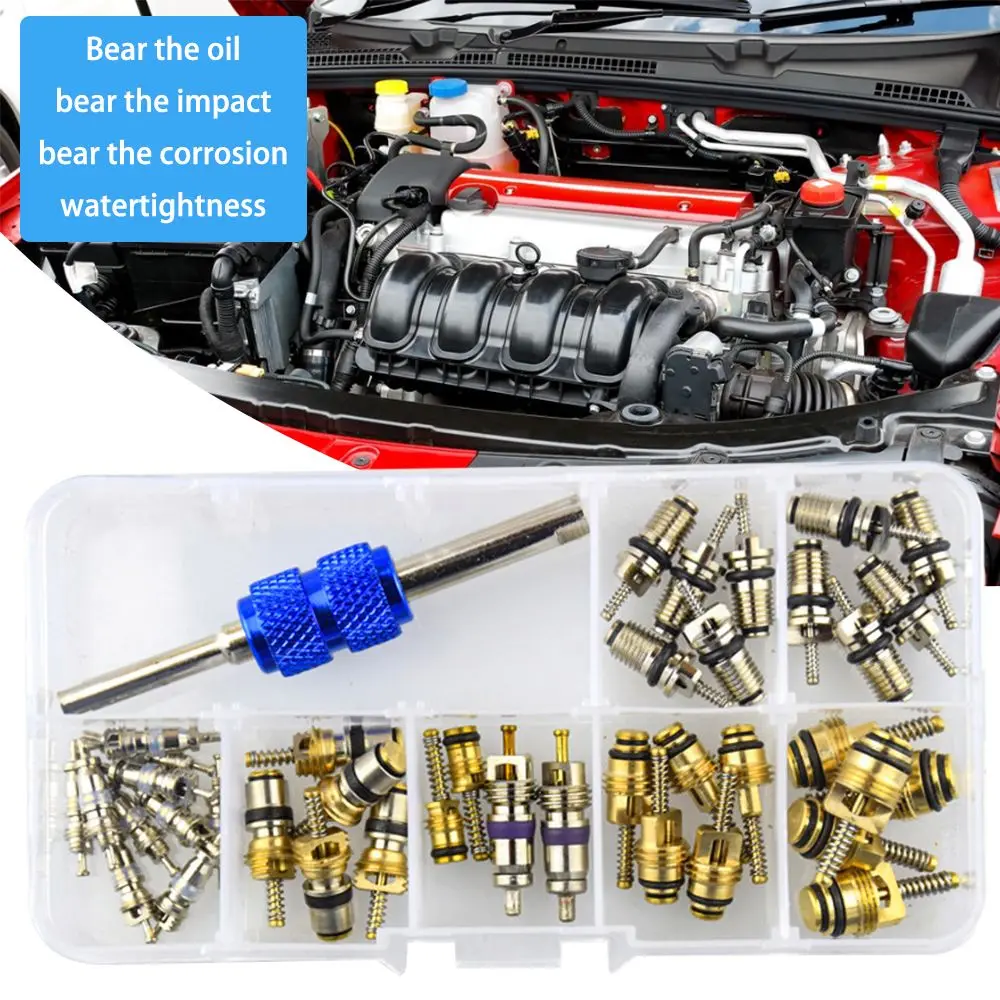 25sets 39pcs Car Air Conditioner Valve Cores Assortment A/C Shrader ...