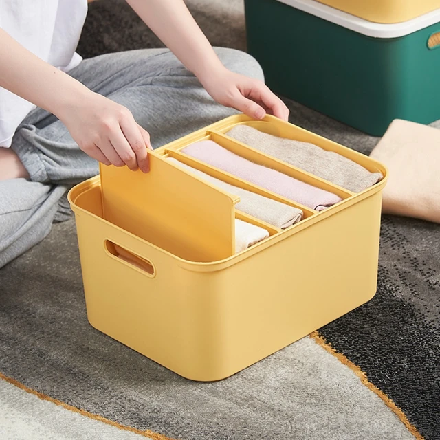 Plastic Storage Boxes With Dividers