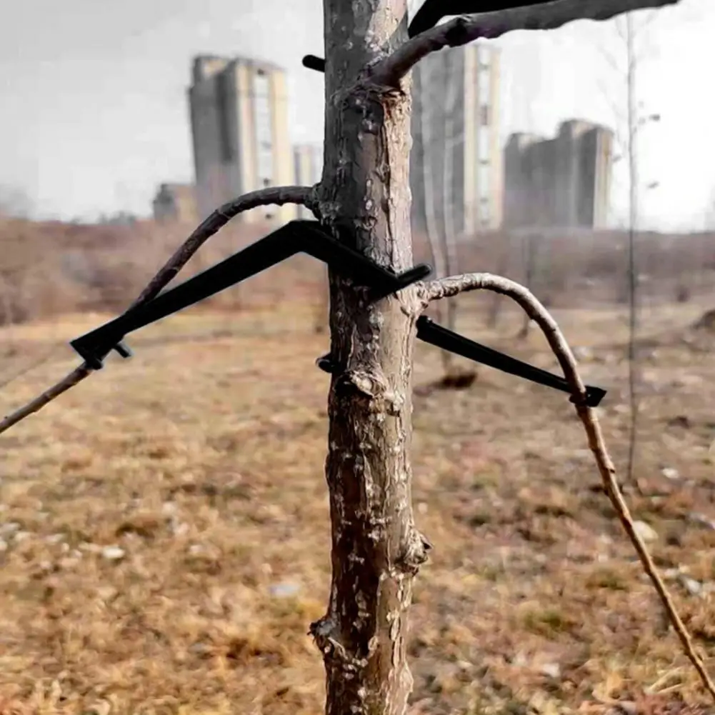 10Pcs-Sturdy-Branch-Holder-Anti-break-Branch-Support-Frame-Good-Weight ...