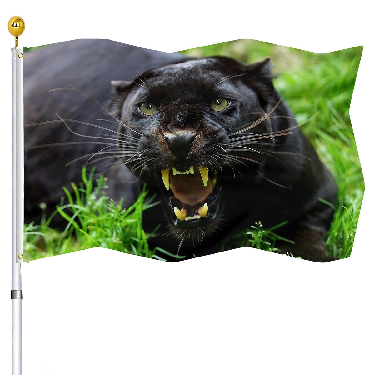 Black Panther Party Flag