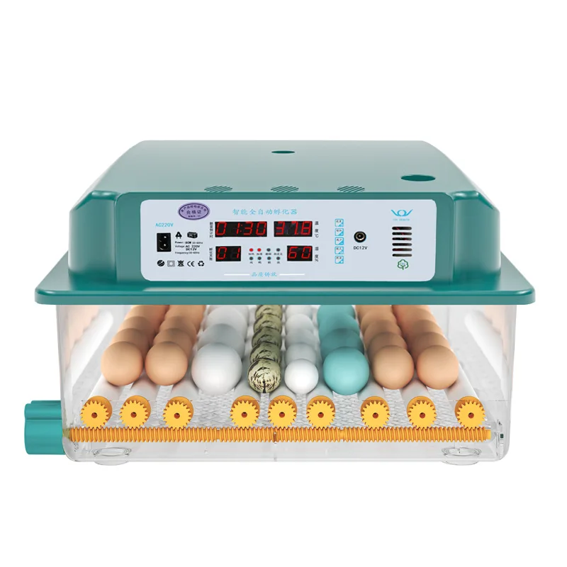 Xinweida-incubator-fully-automatic-small-household-intelligent-chick ...