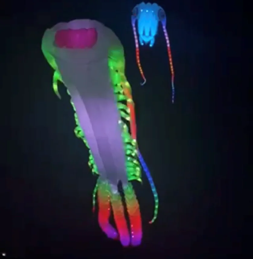 15m Luminous octopus soft kite giant fly floatant Koi carp popit giant ...