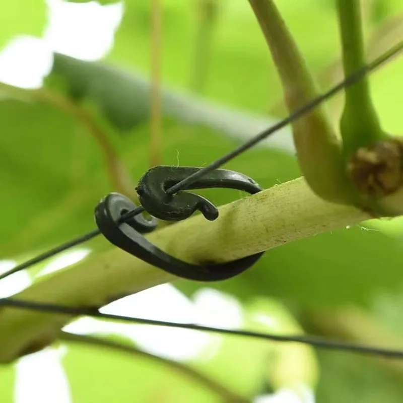 Tuteur - lien - attache,Support de serrage en plastique pour plante de jardin,20 pièces,vigne ...