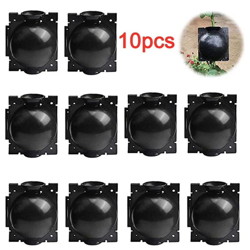 10Pcs-Plant-Rooting-Ball-Propagation-Rooting-Box-Reusable-Plant-Root ...