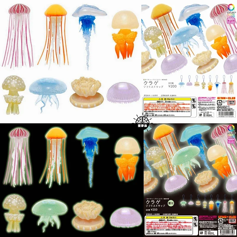 Store Home Products Sale Feedback