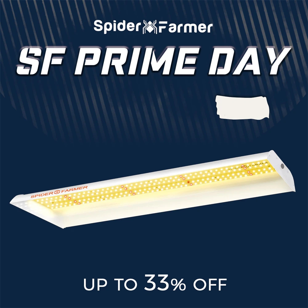 Spider Boer SF300 33W Led Light Strip Sunlike Volledige Spectrum Voor ...