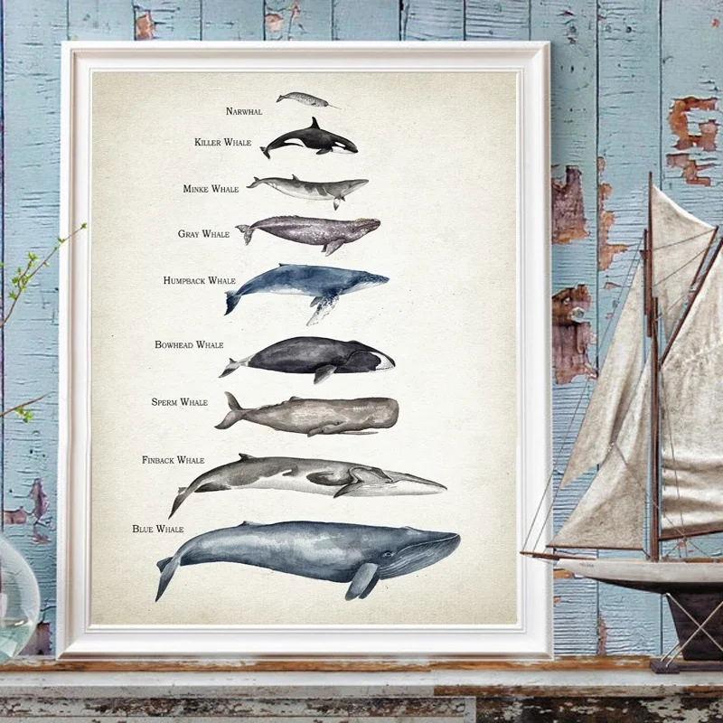 Animal Size Comparison Chart