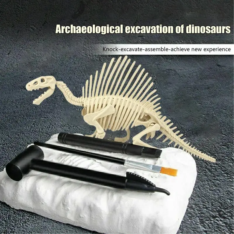 Dinosaur Fossil Digging Kit Dinosaur Skeleton Archaeological Excavation ...