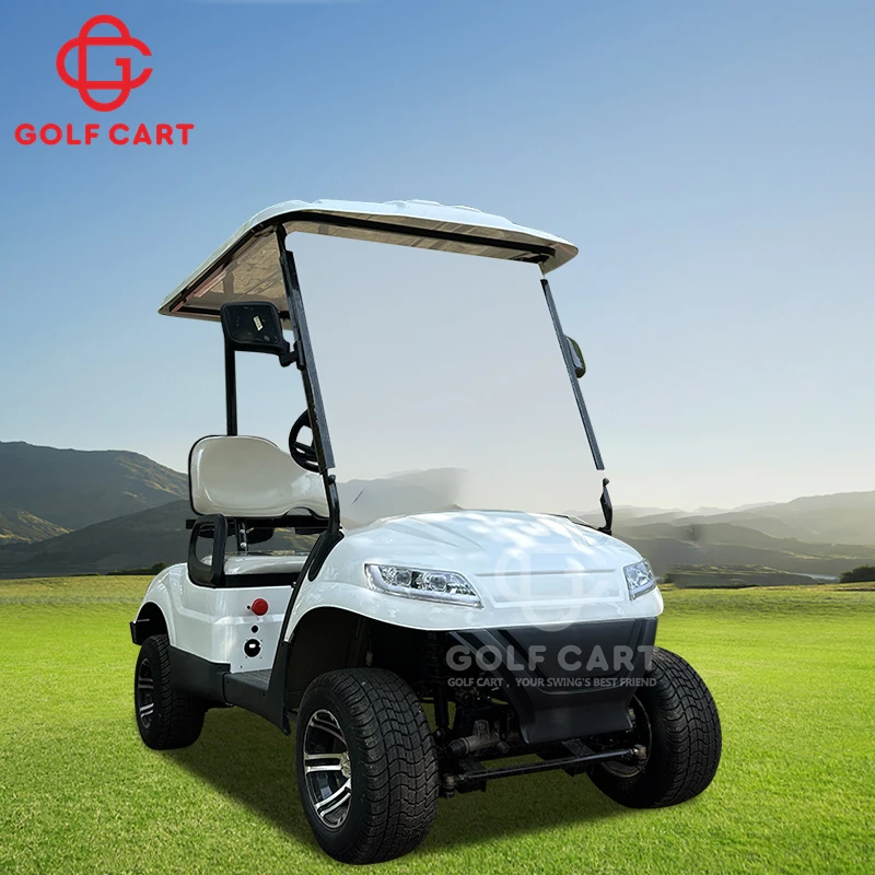Luxury-2-Seats-Long-Battery-Life-Cart-Electric-New-Buggy-for-Sale-Near ...