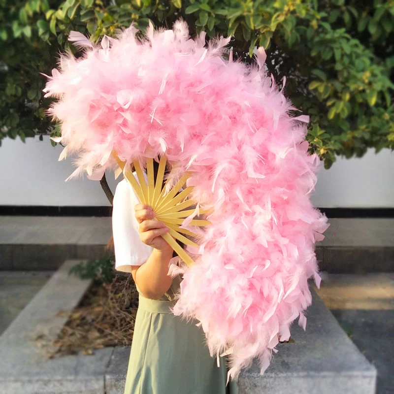 70*40cm Large Pink Feather Fan Photography Props Stage Performance ...