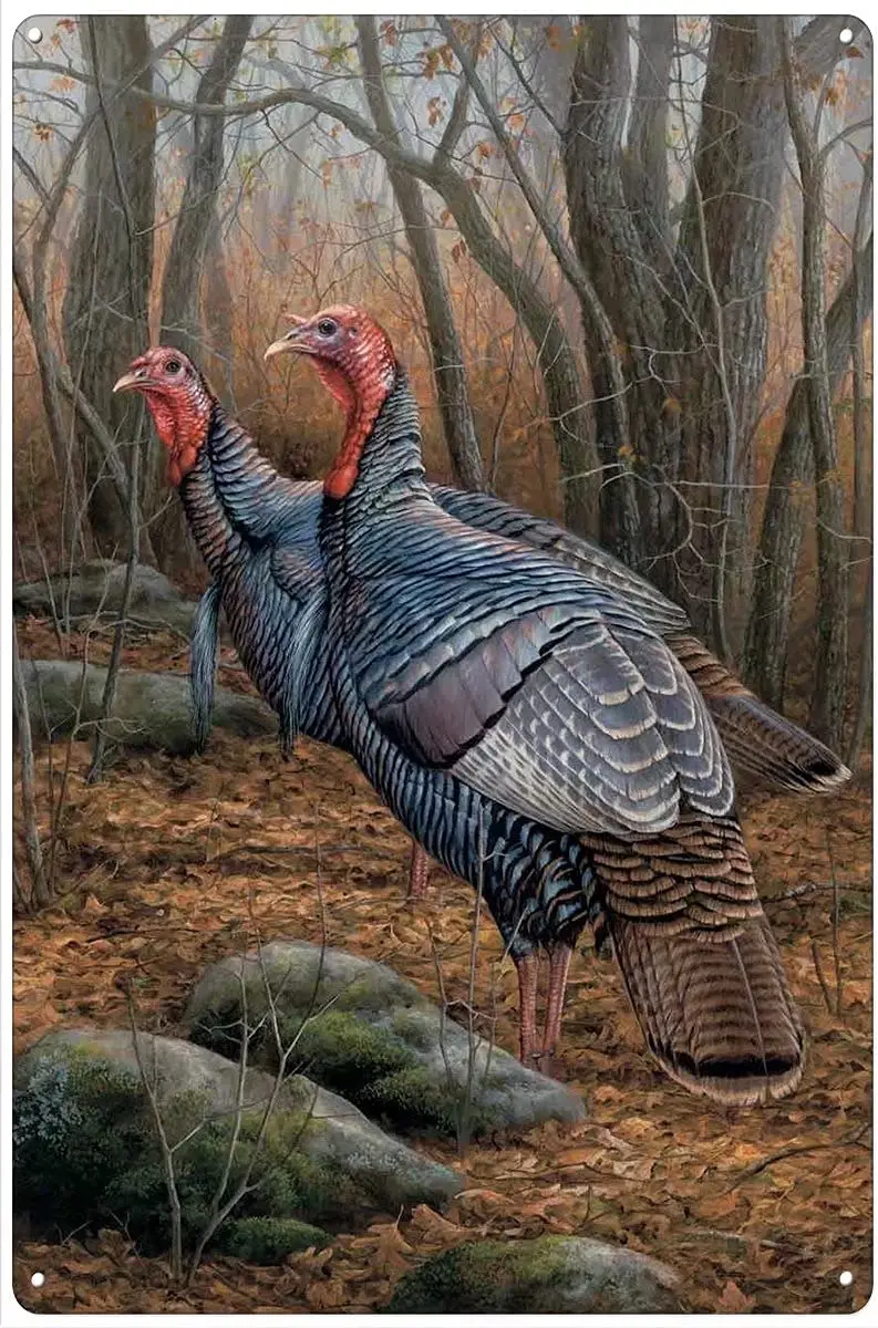 Turkey Hunting Paintings