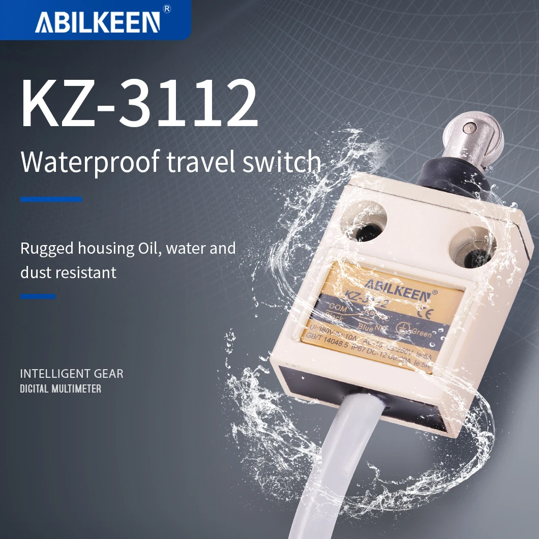 ABILKEEN-Top-Quality-IP67-Waterproof-Type-Long-Push-Plunger-with-Roller ...