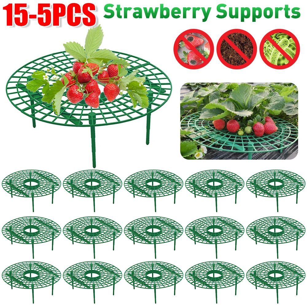 S9d213636e2694e3e81ce09b99065af54b.jpg