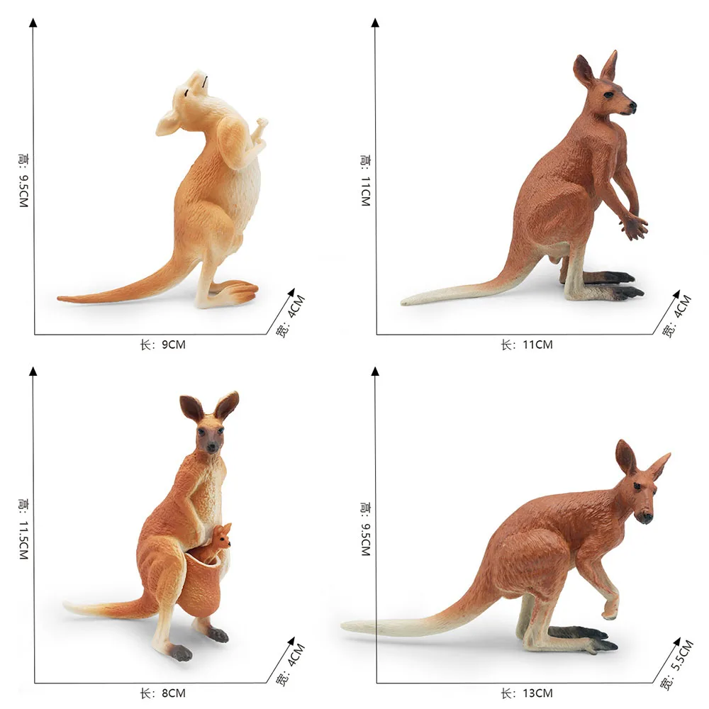 Miniature Kangaroo Pet