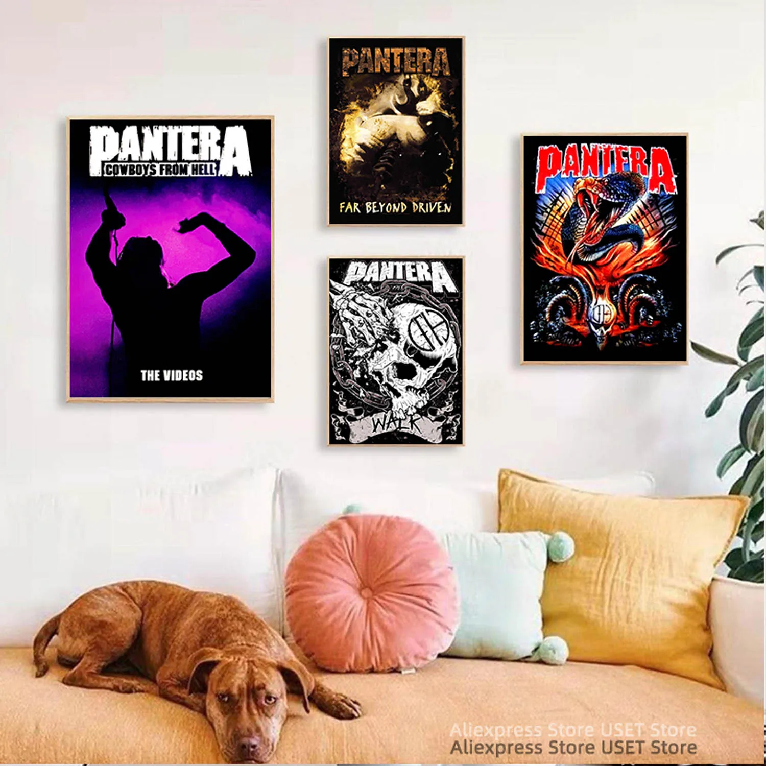 Pantera Far Beyond Driven 20th Anniversary Album Cover