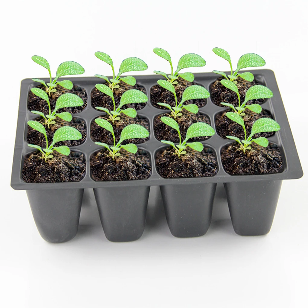 12-Cells-Seedling-Tray-Seed-Starter-Box-Plant-Flower-Grow-Starting ...