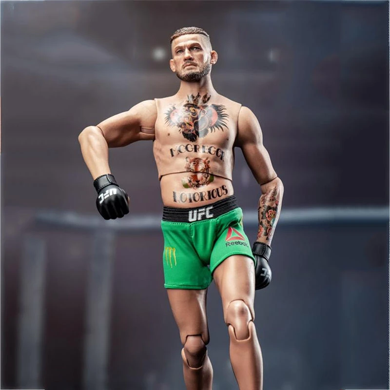 1/6 PTGTOYS PT 8602 Conor Mcgregor Who the Fook is That Guy Boxing Head ...