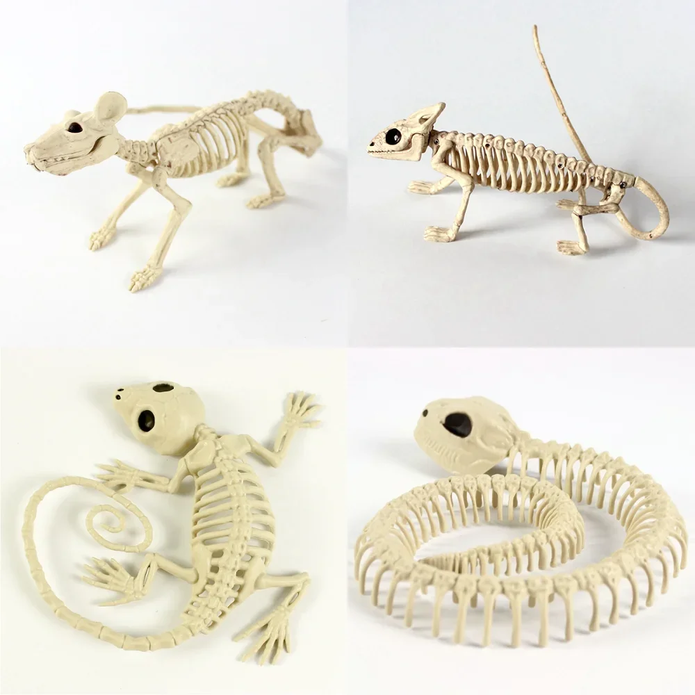 Halloween-Animal-Skeleton-Bones-Horror-Gecko-Snake-Gecko-Spider ...