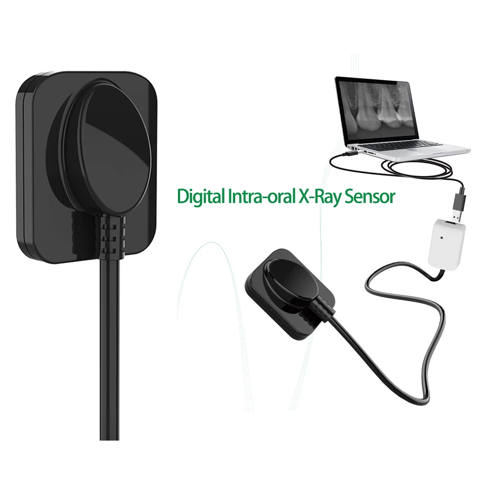 Dental X Ray Sensor Fast Transmission Digital Intraoral Clinic X Ray ...