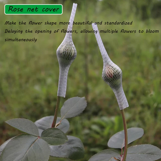 나에게 딱 맞는 미장망 찾기: 종류, 비교, 선택 가이드