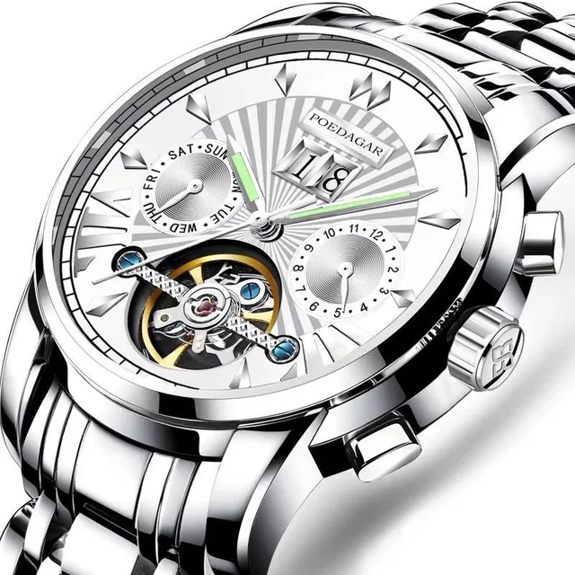 POEDAGAR Men Watch Top Brand Luxury Automatic Mechanical Watches ...