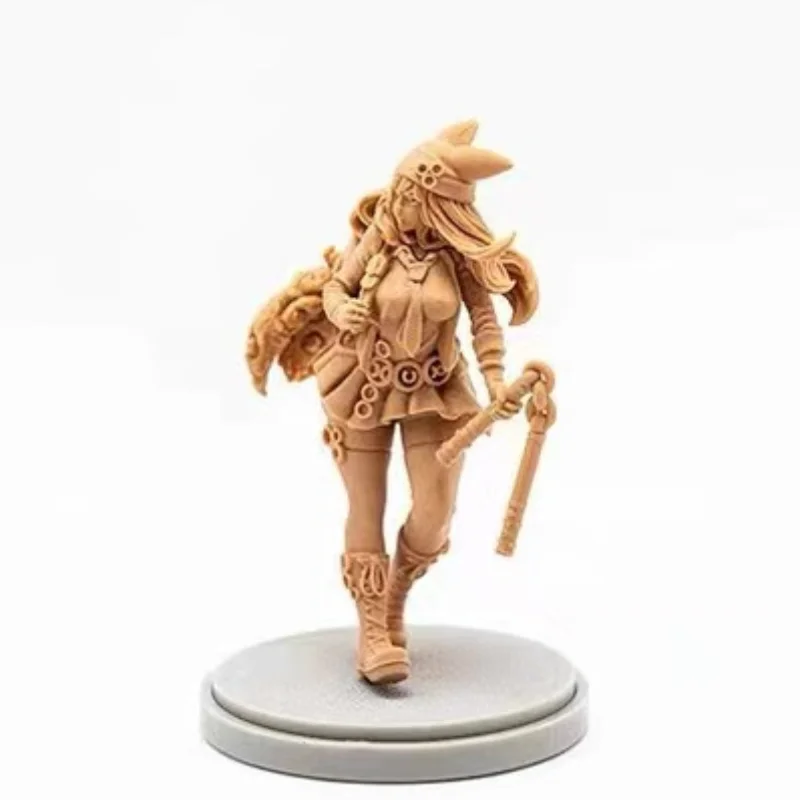 38mm-height-beauty-soldier-resin-figure-model-kit-RINGTAIL-VIXEN ...