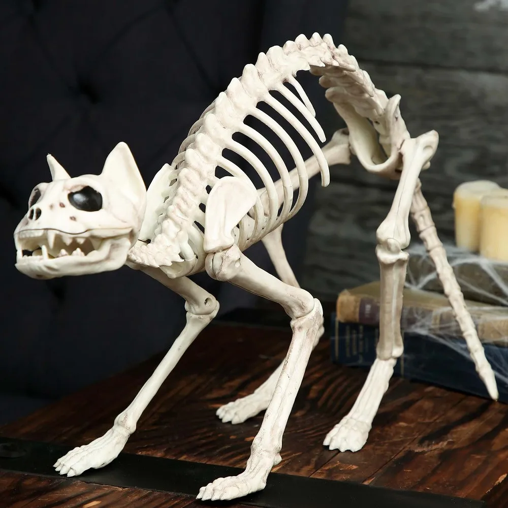 Skeleton-Cat-Kitten-Lizard-Bones-Halloween-Atmosphere-Decoration ...