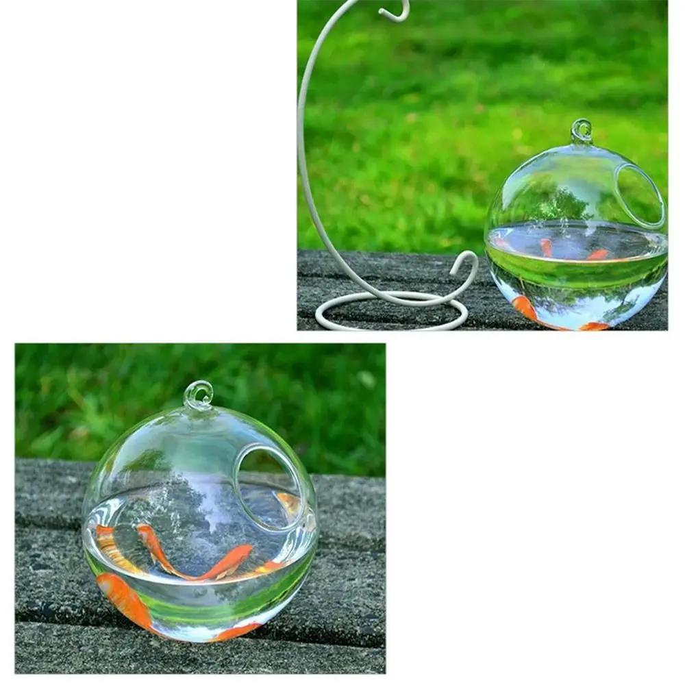 Round-Rectangle-Shape-Hanging-Glass-Aquarium-Fish-Tank-Fish-Bowl ...