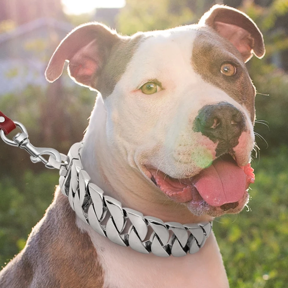 Collare Sicurezza Cane Collari Per Cani A Catena, Colletti A Prova Di ...