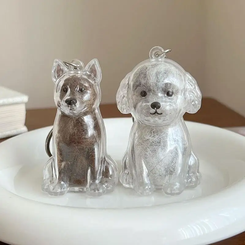 Cute Dog Hair Storage Keychain Transparent Pet Fur Keepsake Capsule Bag ...