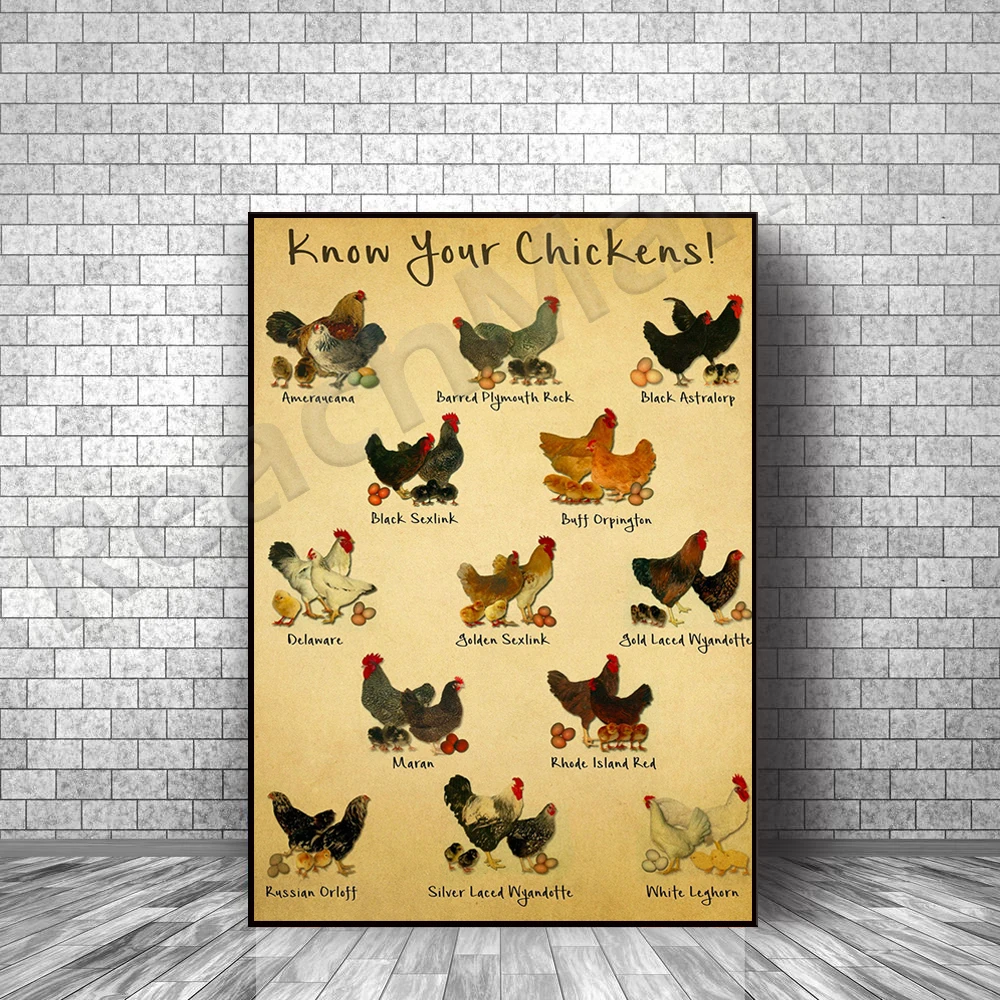 Wissen-Ihr-Huhn-Poster-Huhn-Wissen-Poster-Huhn-Liebhaber-Poster-Huhn ...