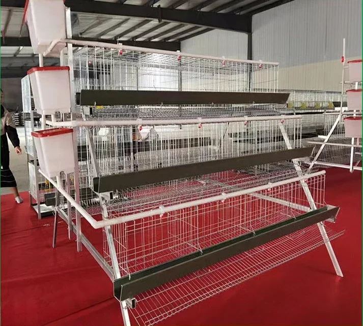 96-Capacity-Laying-Hen-Cage-Galvanised-Stainless-Steel-Thick-Wire ...