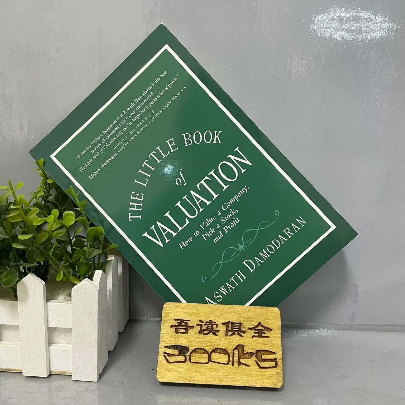 The-Little-Book-of-Valuation-How-To-Value-A-Company-Learn-To-Value-and ...