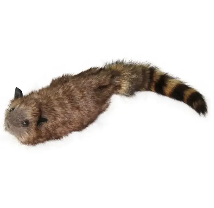 The-Rocky-Raccoon-Robbie-Magic-Raccoon-Tricks-Props-Comedy-Mentalism ...